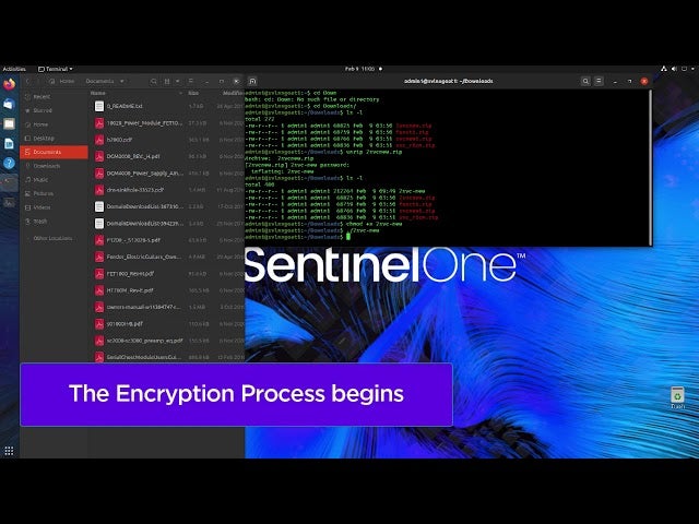 Ransomware on Linux - RansomEXX VS SentinelOne - Detect Mode | SentinelOne IT